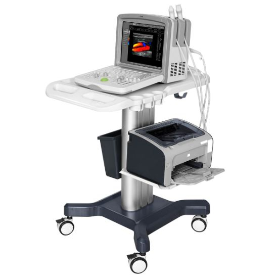 (MS-C5500) Cardiac/Vascular/Ob/Gyn Portable 3D 4D Echo Color Doppler ...